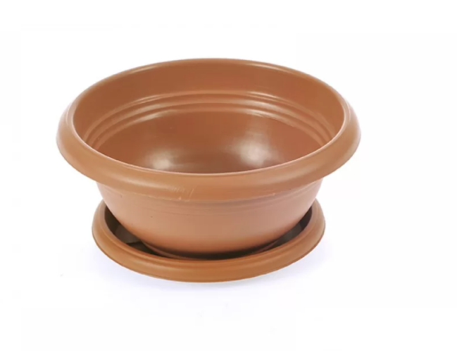 Wide Shallow Flower Pots with Saucer. Plastic Succulent Planter. (Diam ...